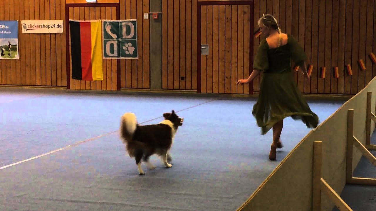 Dogdance German Open Denkingen 2015 Melanie Felix und Julie - YouTube