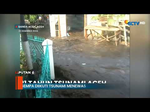 Tsunami surges into Meulaboh, Aceh, Indonesia