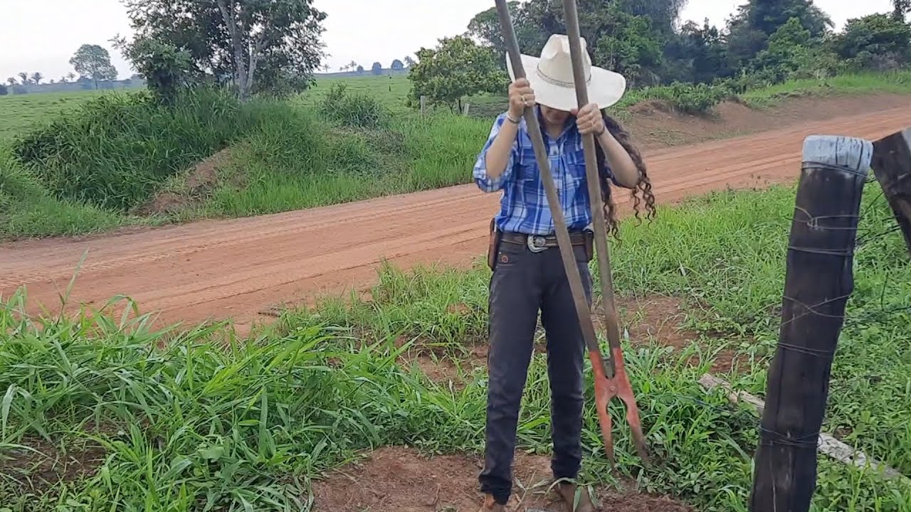 DIA A DIA DA BOIADERA NA LIDA DA ROÇA - YouTube