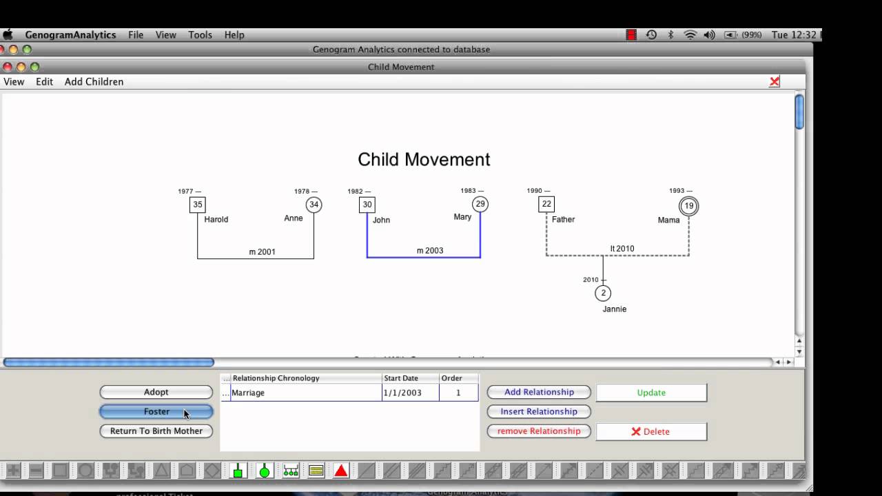 Foster and Adopt Children with Genogram Analytics software - YouTube