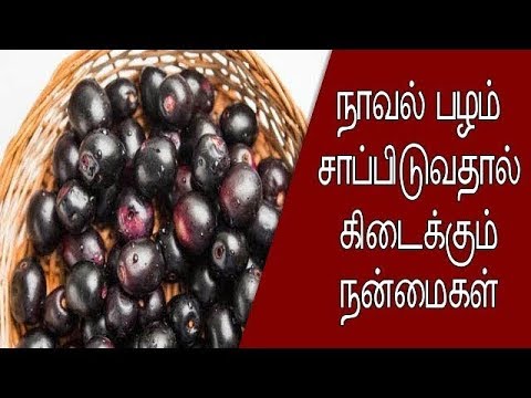 நாவல் பழம் நண்மைகள் | Naval palam nanmaigal in tamil | Health Benefits ...