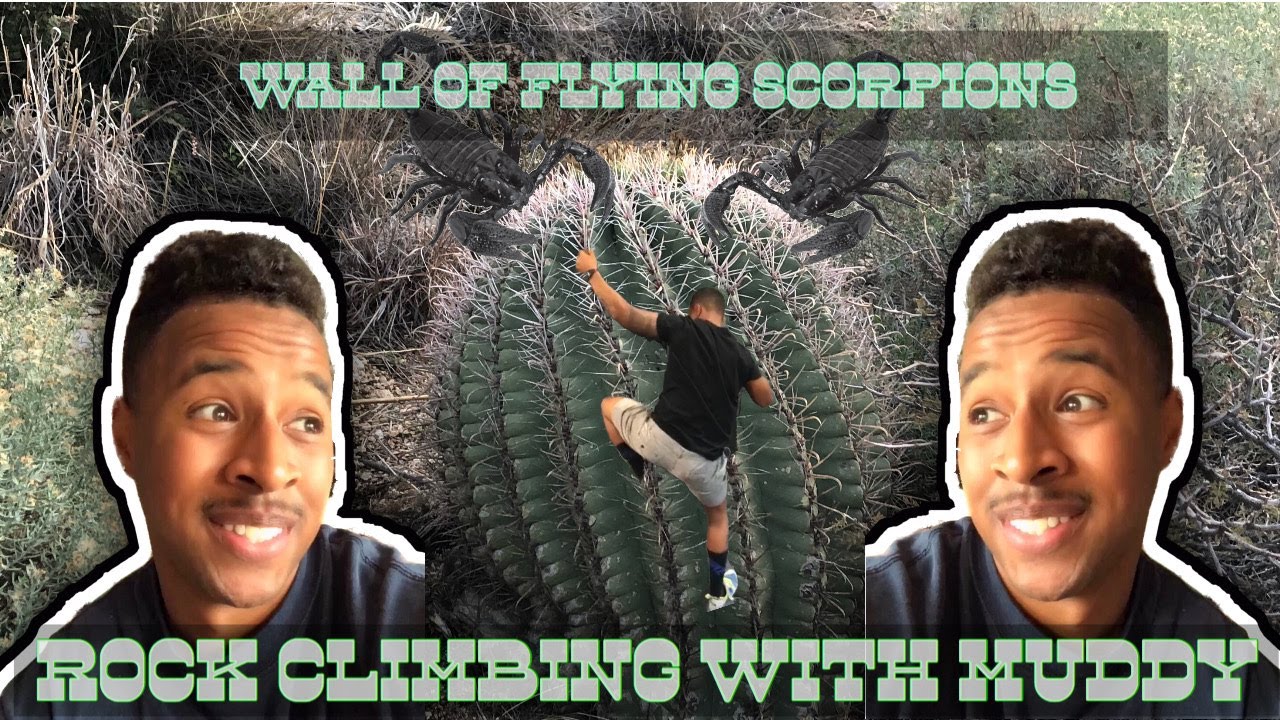 Wall of Flying Scorpion Rock Climbing - YouTube