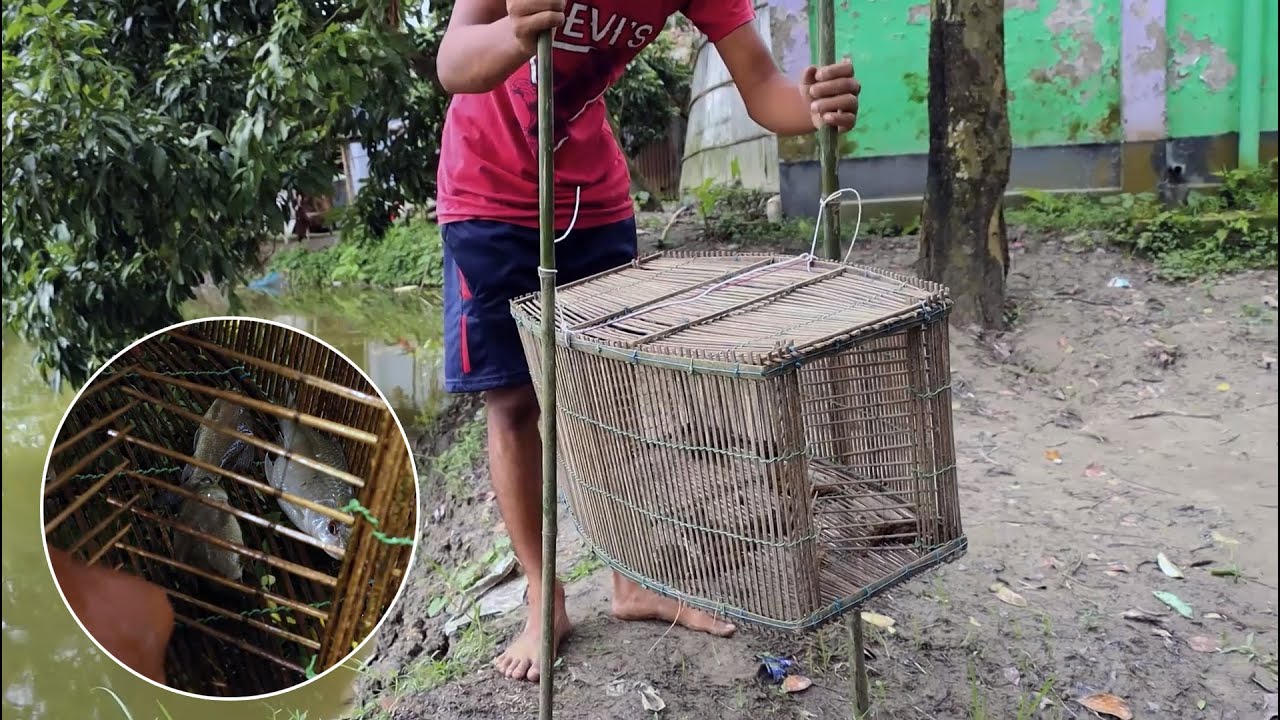 Primitive Fishing Techniques | Old Fishing System in Village Pond ...