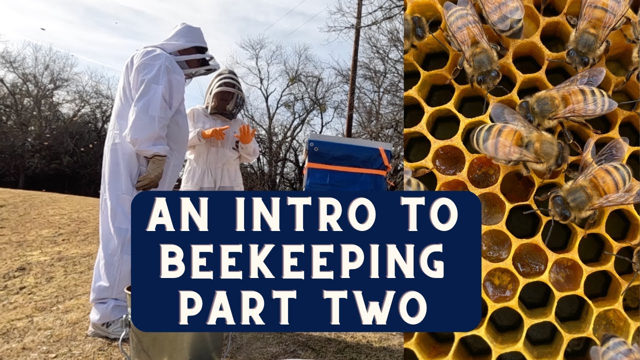 An Introduction to Beekeeping - Part 2 - YouTube