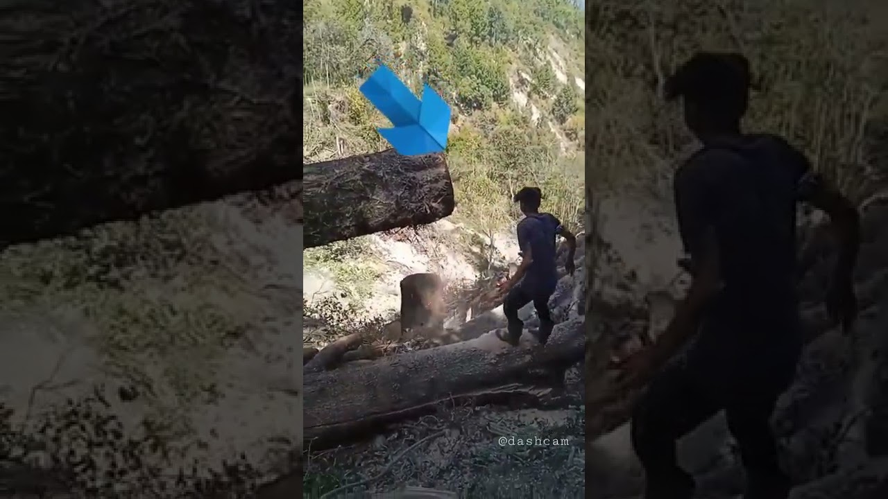 Wood Cutting Accident | Wood Cutting Machine - YouTube