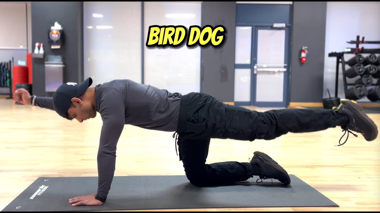 Bird Dog (Core Workout) - YouTube
