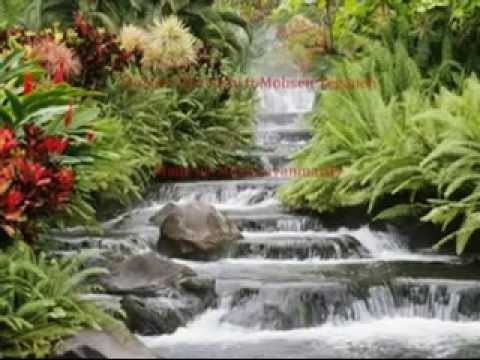 Nashkan Delamo  - persian sad music