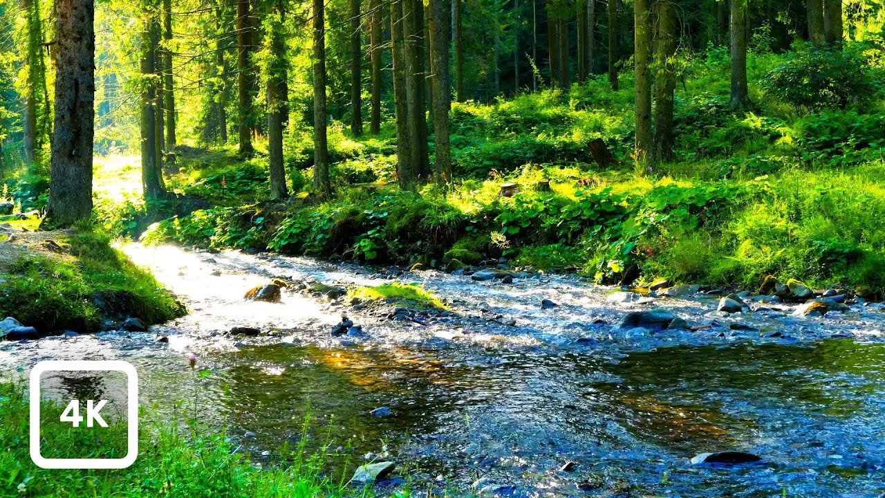 Golden Hour Gentle Mountain Stream River | 4K HDR Flowing Water Nature ...