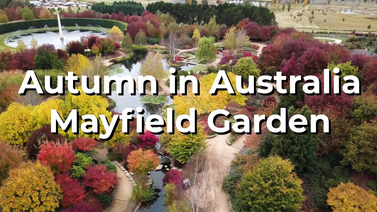 Beautiful colours! Autumn in Australia | Mayfield Garden, Oberon, NSW ...