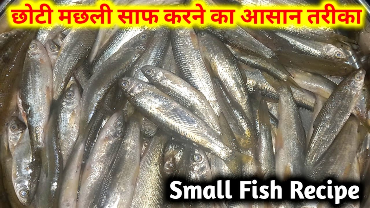 छोटी मछली को साफ करने का और बनाने का आसान तरीका / Small Fish Curry ...