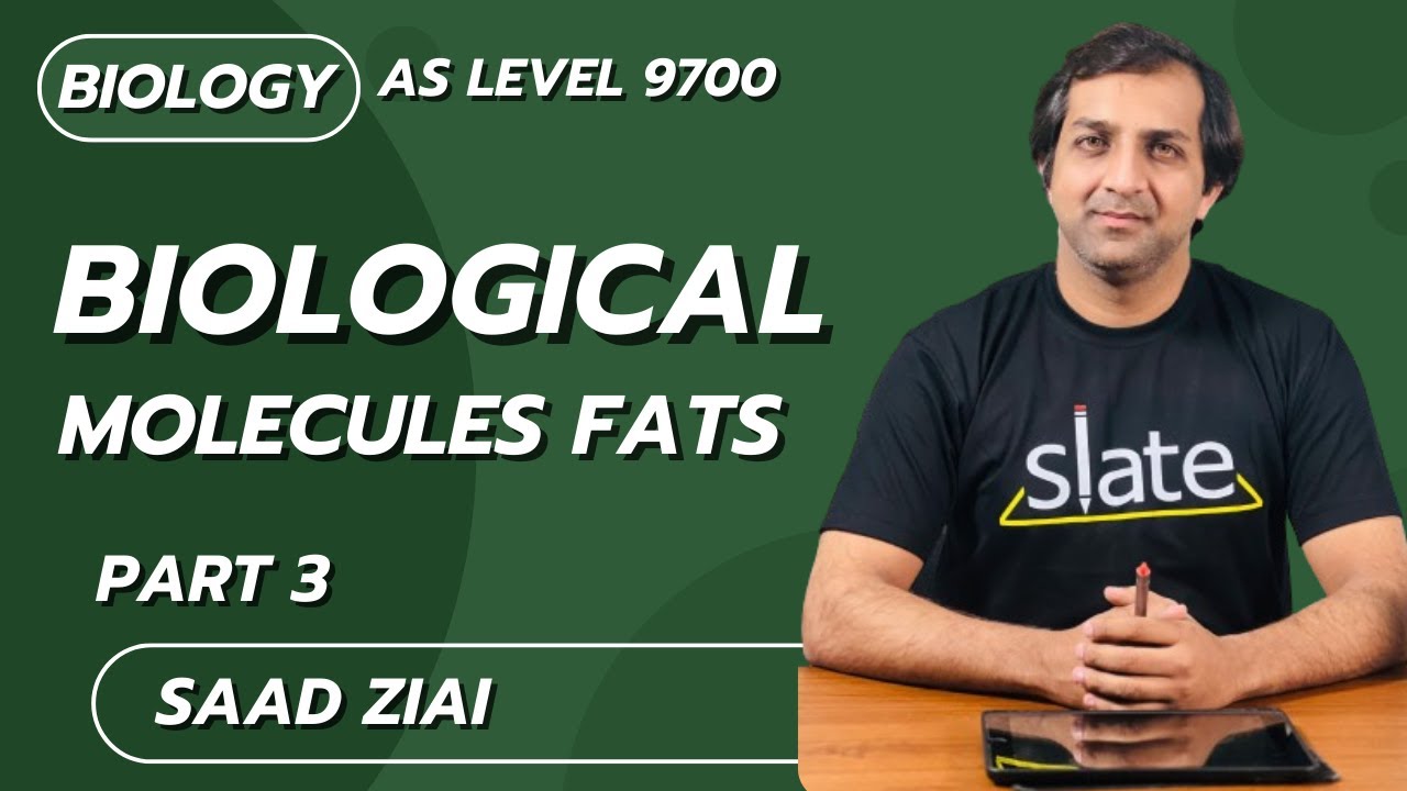 Biological molecules Fats lecture 3 | As Level | Biology 9700 | Saad Ziai | SLATE - YouTube