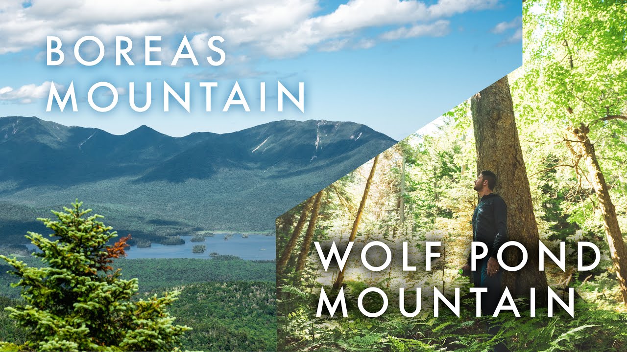Hiking Boreas and Wolf Pond Mountains | Adirondack 100 Highest | Elk ...