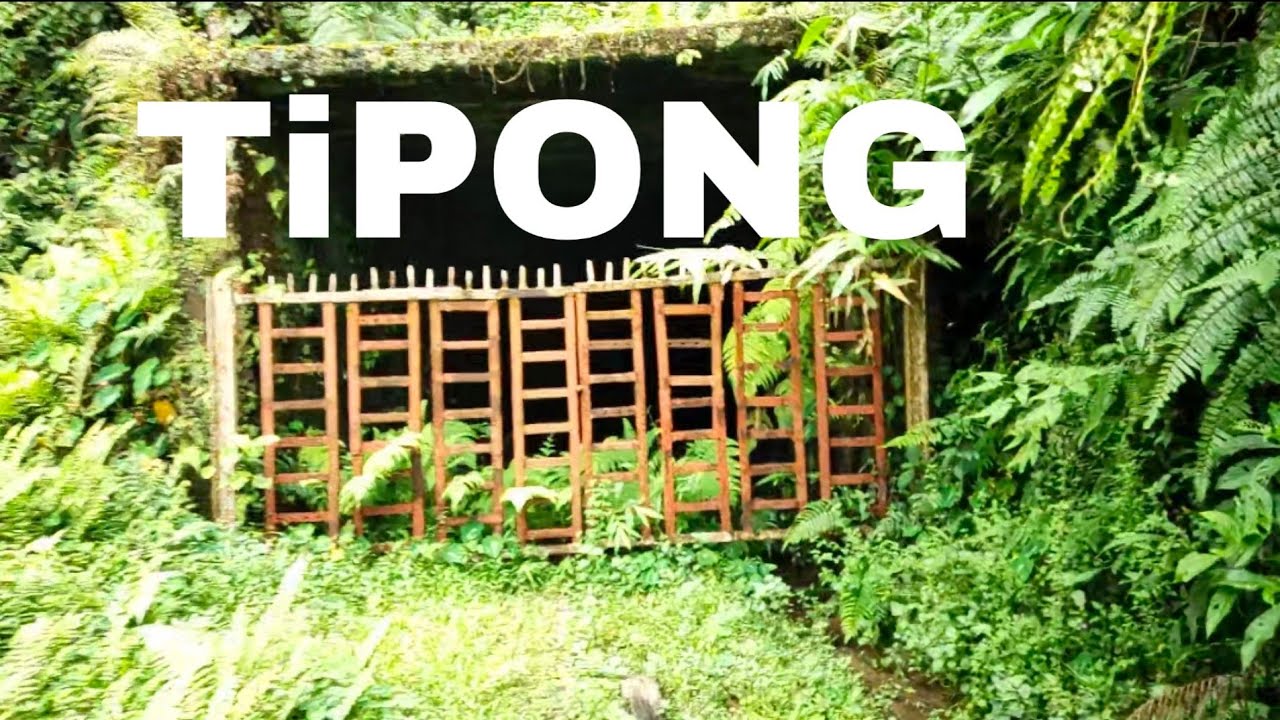 Tipong Colliery || Ledo || Assam || Assamese Vlog || - YouTube