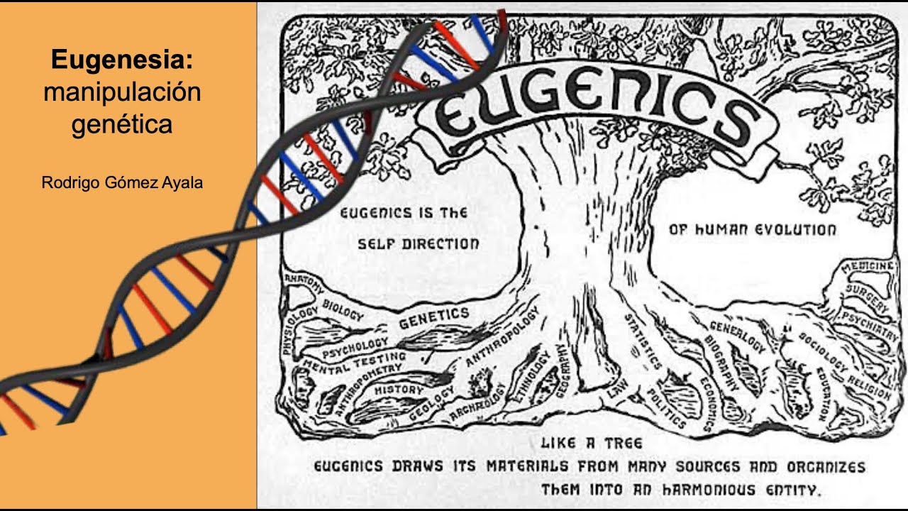 Eugenesia. Experimentos en seres vivos. - YouTube