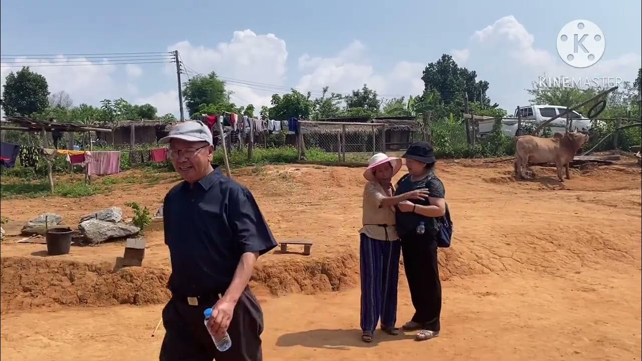 Hnub no mus saib phauj qaib lawv nawb Ep02 - YouTube