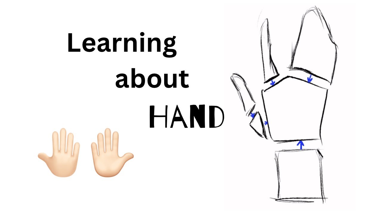 How to draw hands | Drawing everyday D7 - YouTube