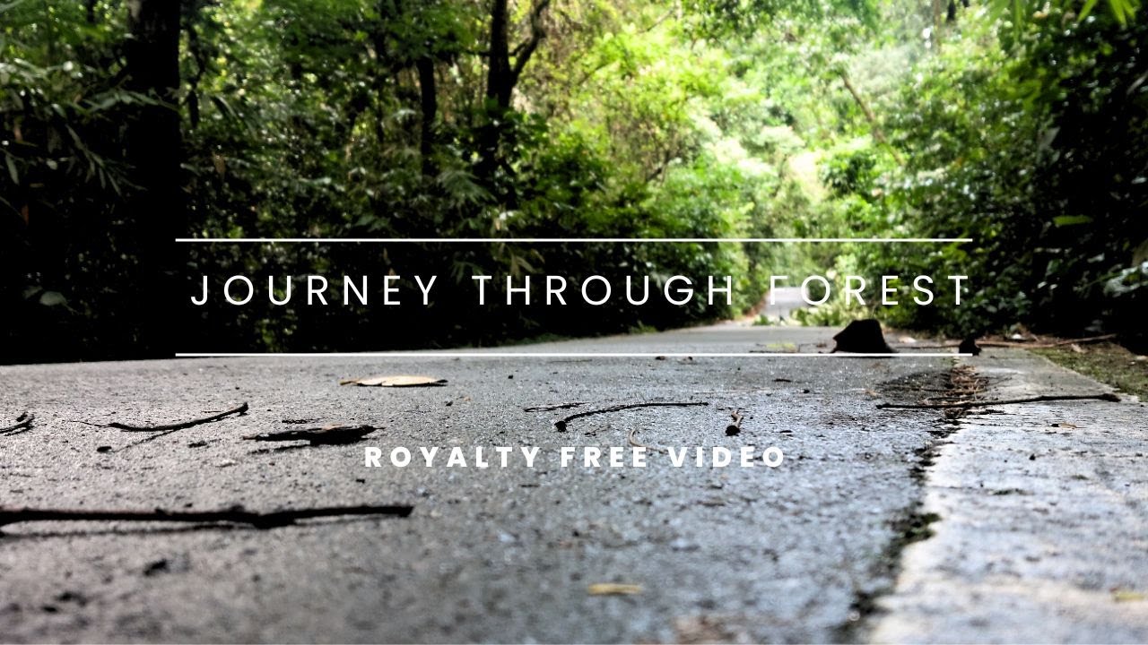 Journey Through Forest of Sri Lanka Meethirigala Nissarana Vanaya ...