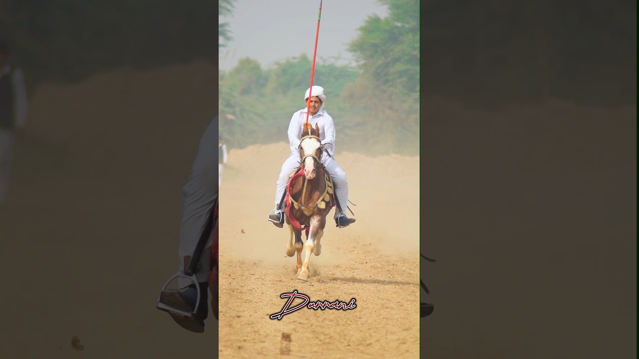 Tentpegging🐎 ️🐴😍🥀#horse #horseriding #horselover #nezabazi # ...