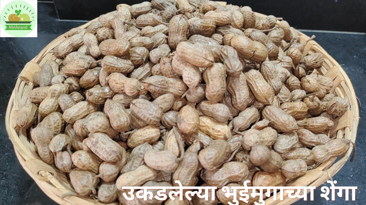 उकडलेल्या भुईमुगाच्या शेंगा / Ukadlelya Bhuimugachya Shenga / Boiled ...