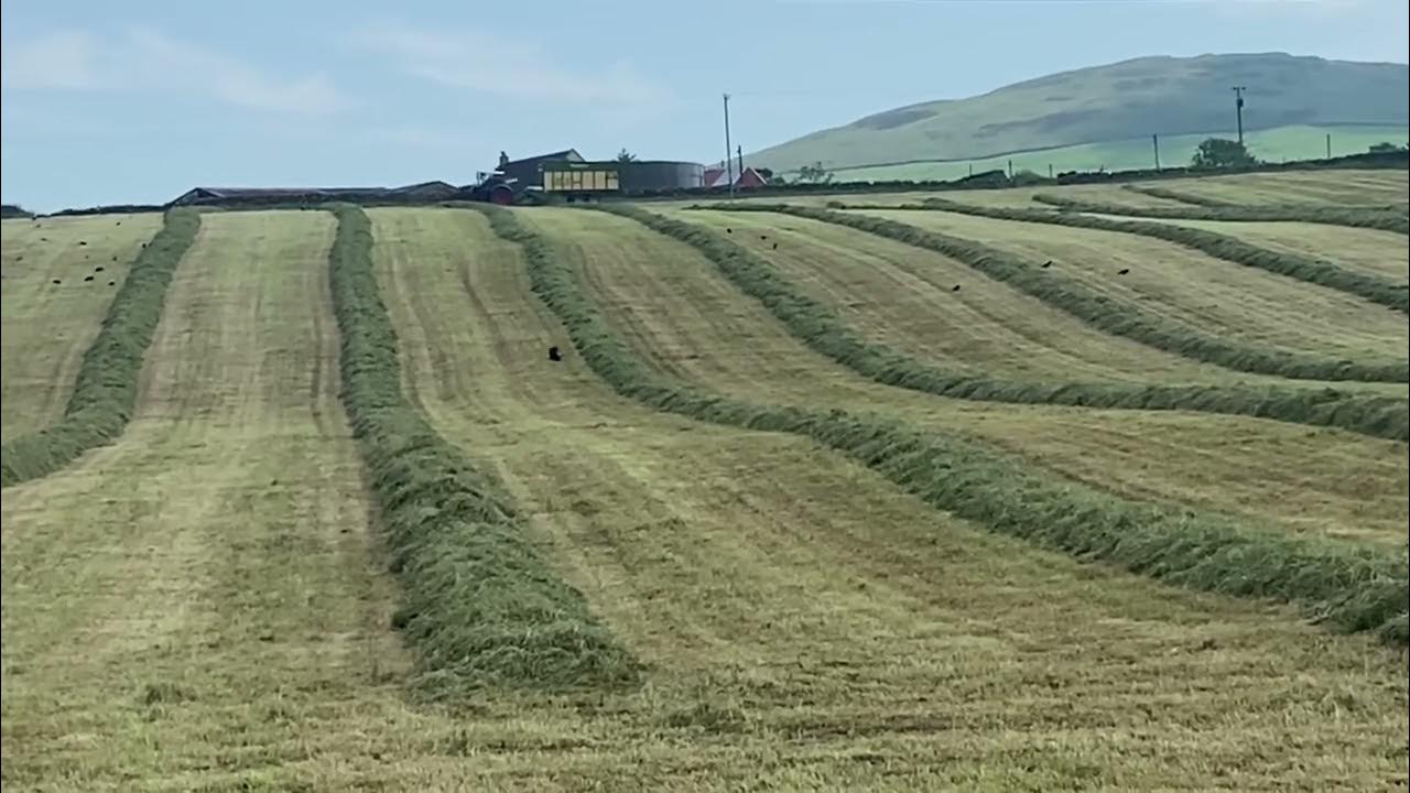 First cut silage at Drumraik farm 2024 - YouTube