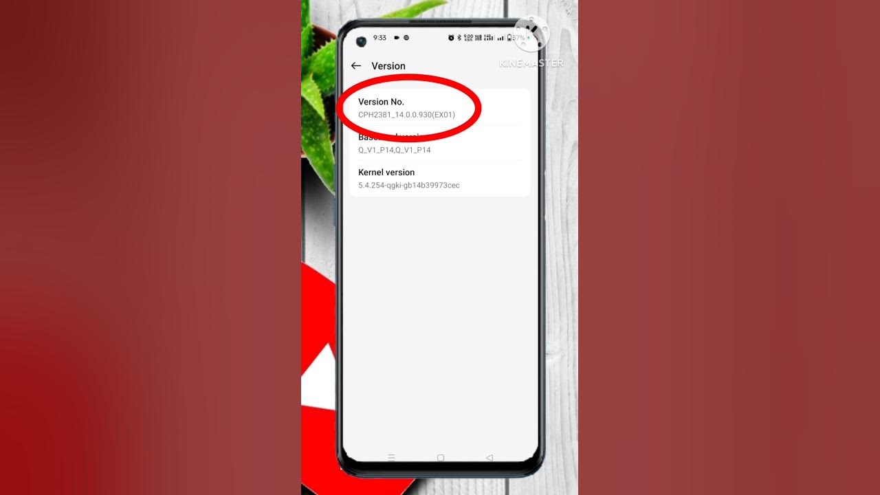 Enable Developer Options one plus nord ce 2 lite || Enable USB ...