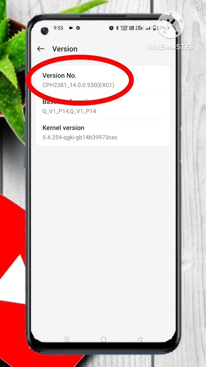 Enable Developer Options one plus nord ce 2 lite || Enable USB ...