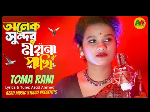 Toma Rani vs Azad Ahmed Which Bengali Singer Reigns Supreme -কী এমন গানে তমার ময়না পাখি - YouTube