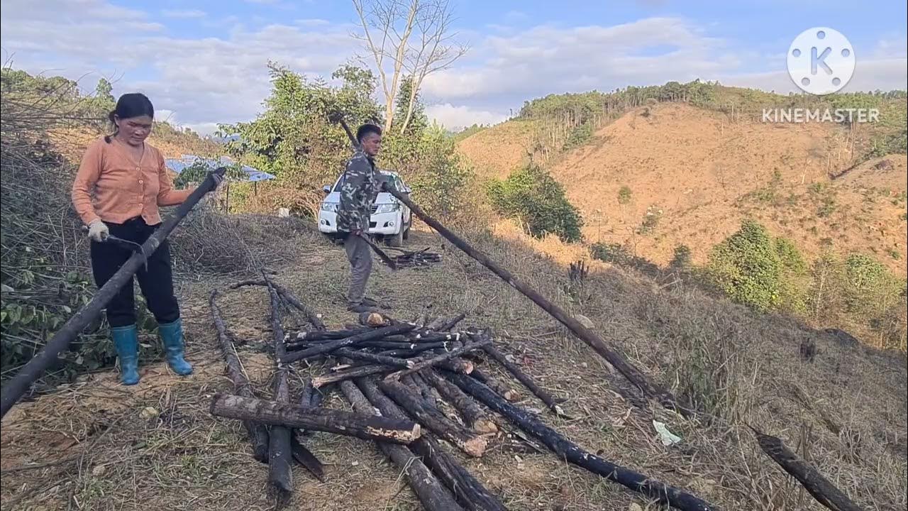 Luaj teb tsaus ntuj lawm ces los txiav taws mus tsev nawb 23 /2/2025 - YouTube