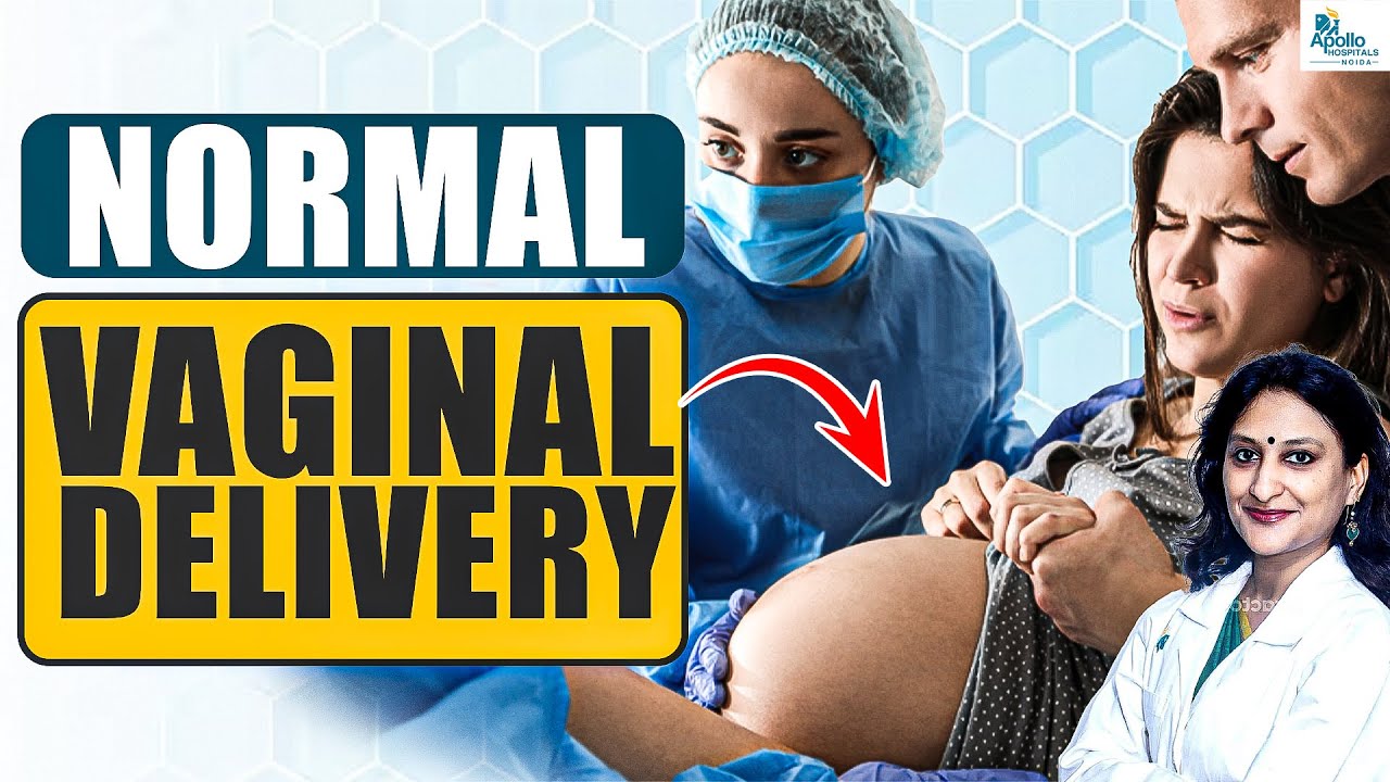 Normal Viginal Delivery | What are the stages of Normal Vaginal ...