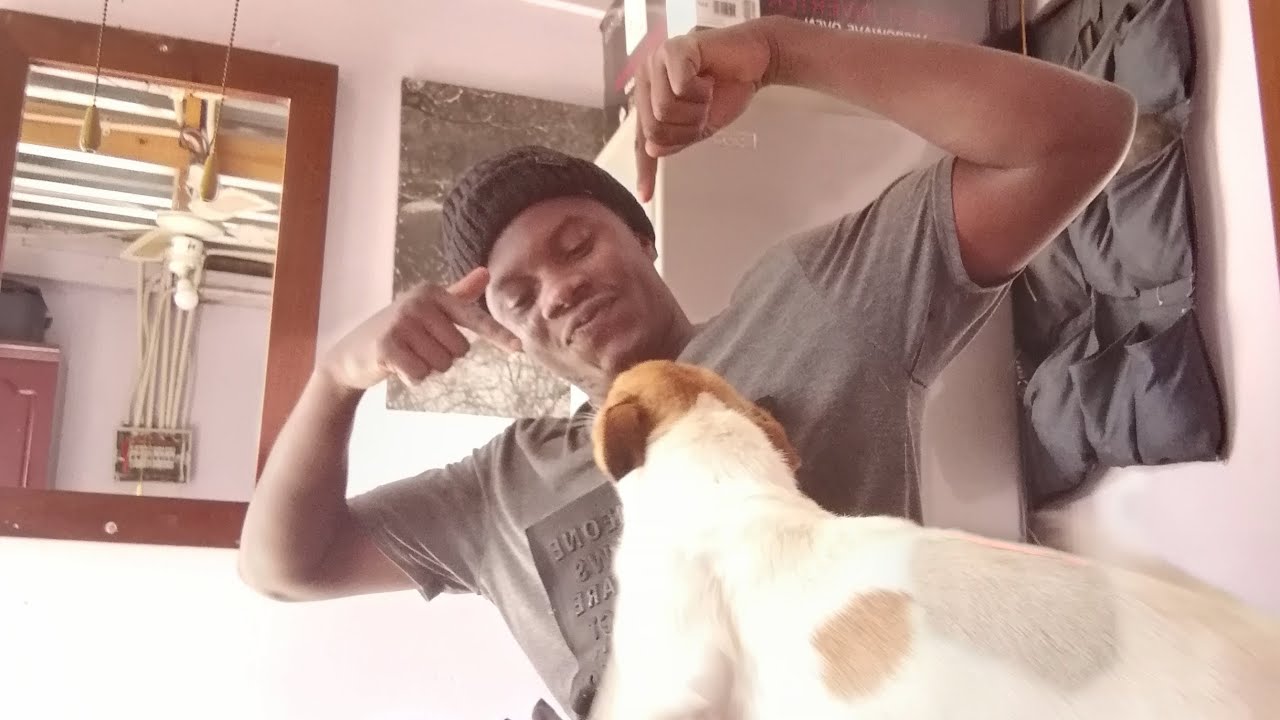 the most funny video ever 🤣🤣 - YouTube