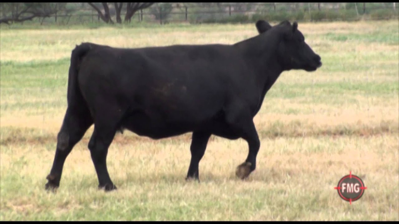 LOT 1510 RA Brown Ranch - YouTube