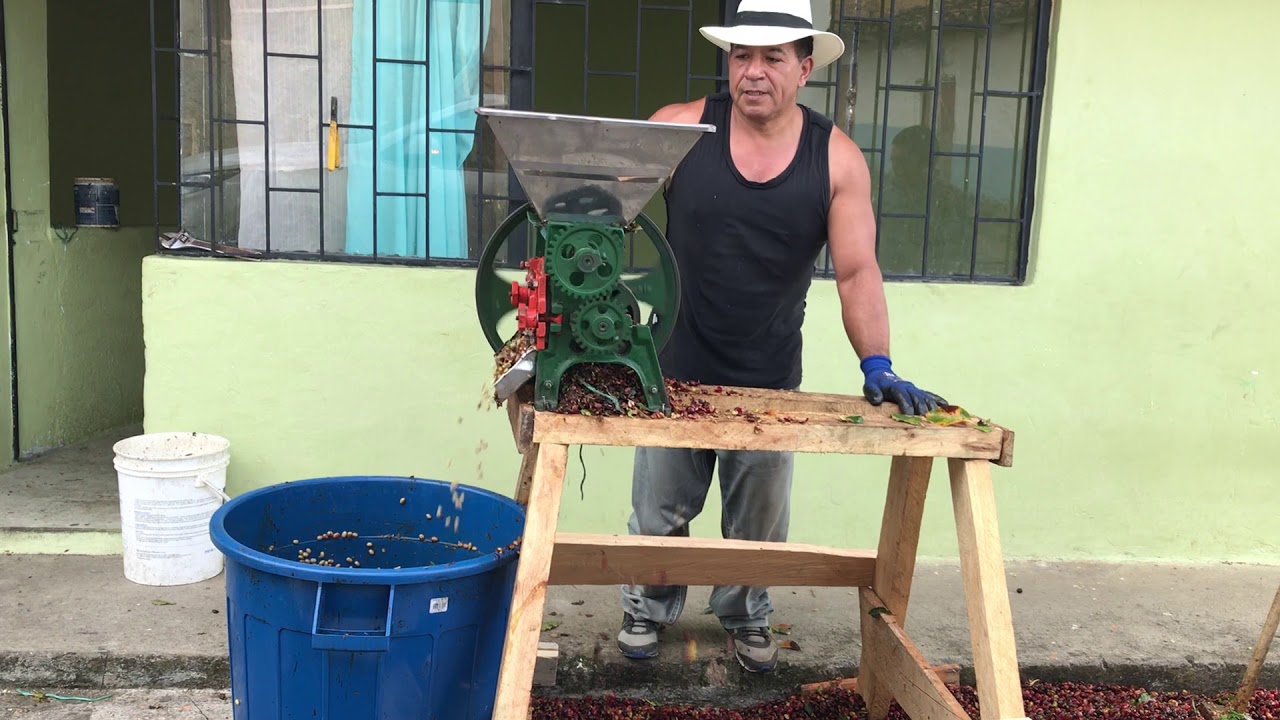 7 Seconds of Depulping Coffee with a Hand-crank Machine in Buesaco Town ...