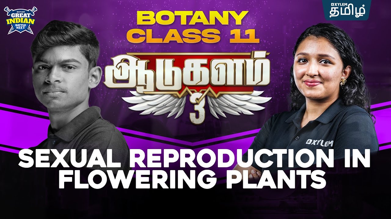 GIB (🔥ஆடுகளம் 3.0🔥): Sexual Reproduction in Flowering Plants(BOTANY ...