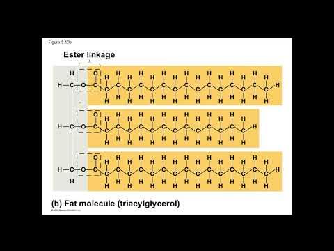 Ch.5 lec.3 - YouTube