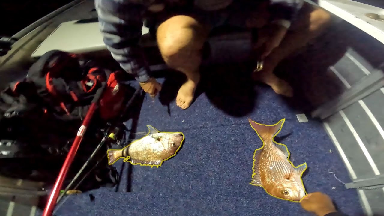 Lang Lang Snapper Fishing - YouTube