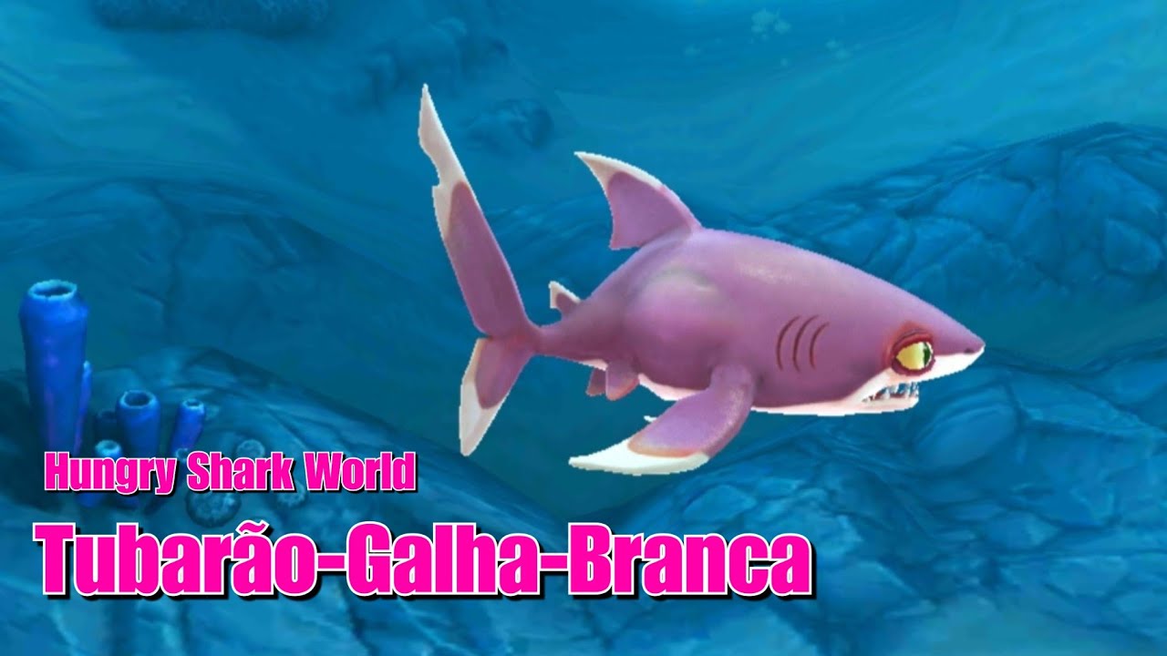 Hungry Shark World - Tubarão Galha Branca - YouTube
