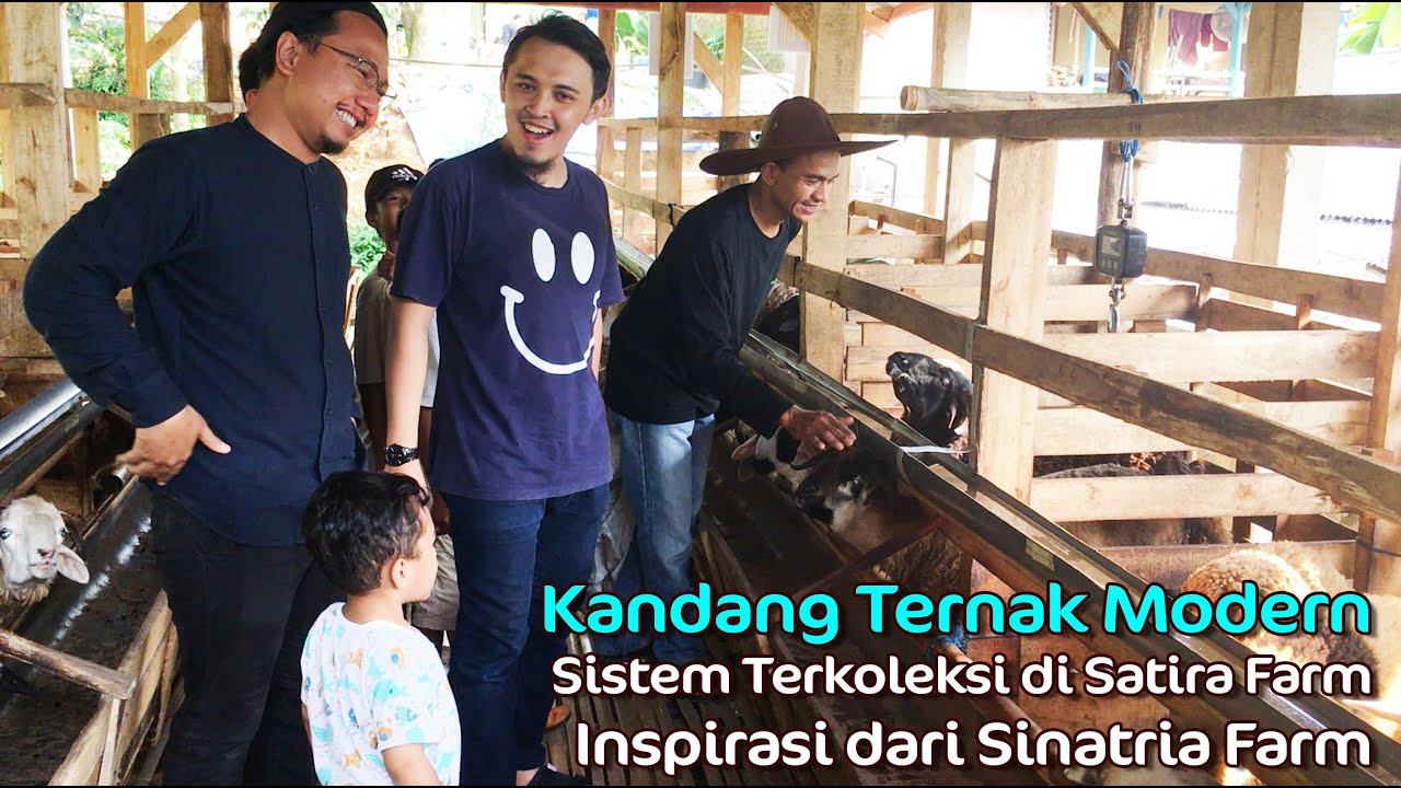 Kandang Ternak Modern Sistem Terkoleksi di Satira Farm - Inspirasi dari ...