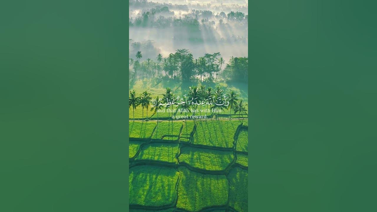 يَا أَيُّهَا الَّذِينَ آمَنُوا لَا تَخُونُوا اللَّهَ وَالرَّسُولَ Youtube