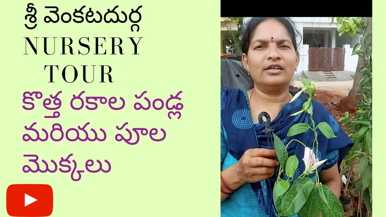 Sri Venkata Durga Nursery Tour || కొత్త రకాల పండ్ల పూల మొక్కలు చుసాను ఇక్కడ | @SRIMA TERRACE ...