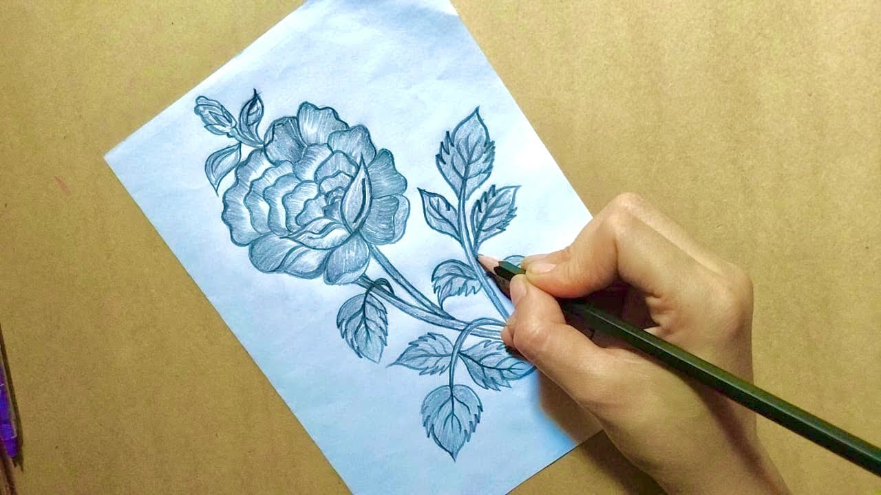 How to draw rose with pencil shading | realistic rose sketch | step by ...