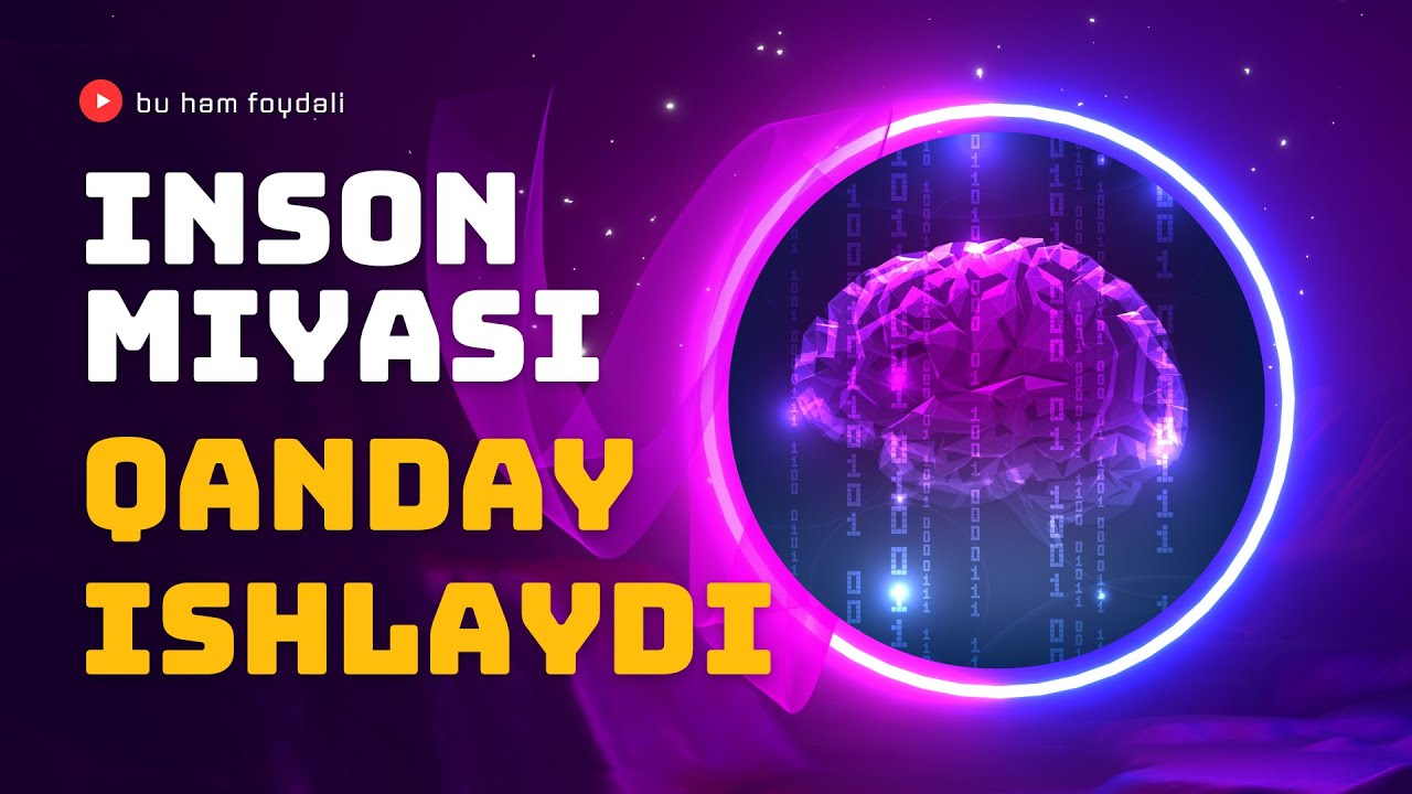 Miya qanday tuzilganligi, uning faoliyati hamda rivojlanishi | Миянинг ...