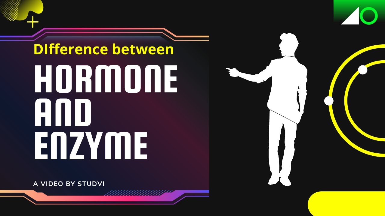 Difference between Hormone and an Enzyme | StudVI | Biology - YouTube