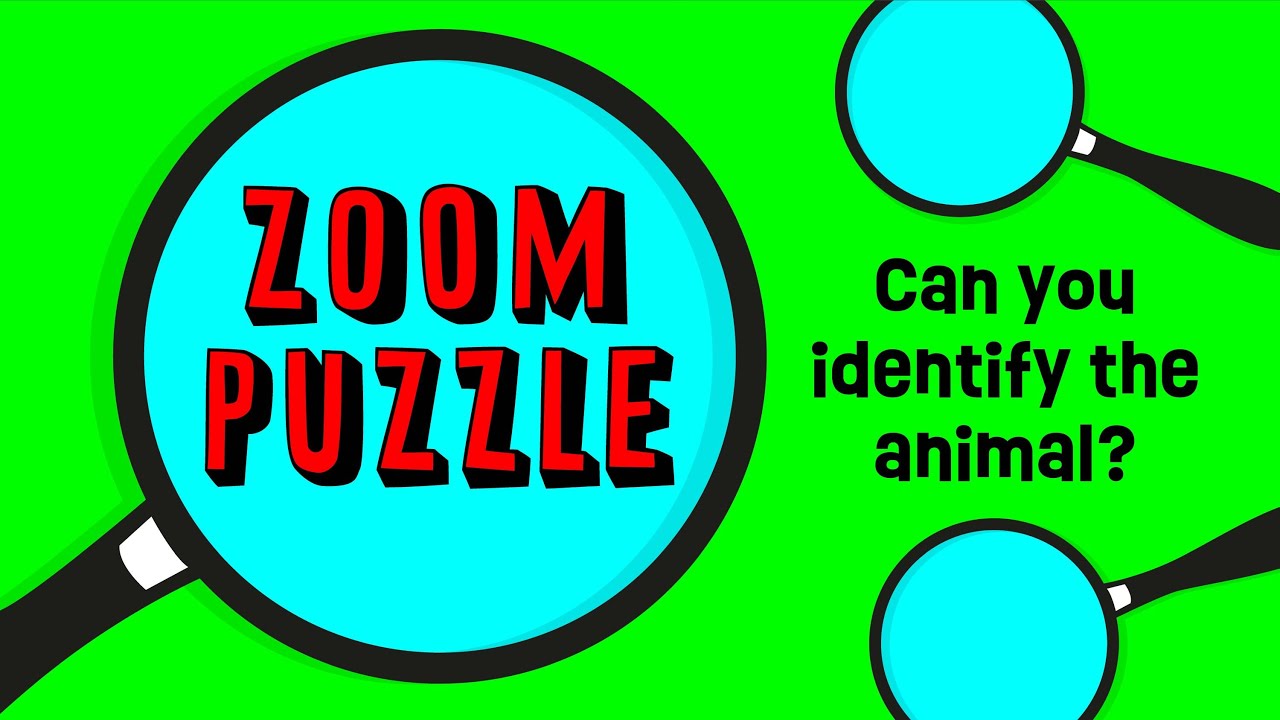 Zoom Puzzle - YouTube