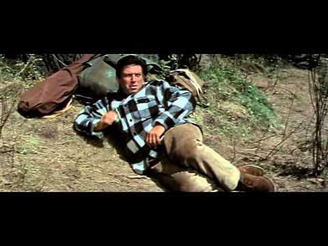 My Side of the Mountain - Trailer - YouTube