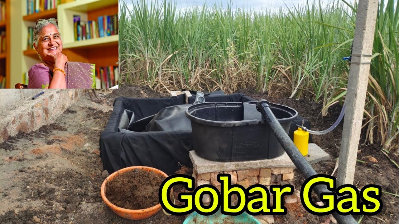 Gobar Gas|| sponsored by Sudha murty||gobar Gas in the Hola guy's 😄 ...
