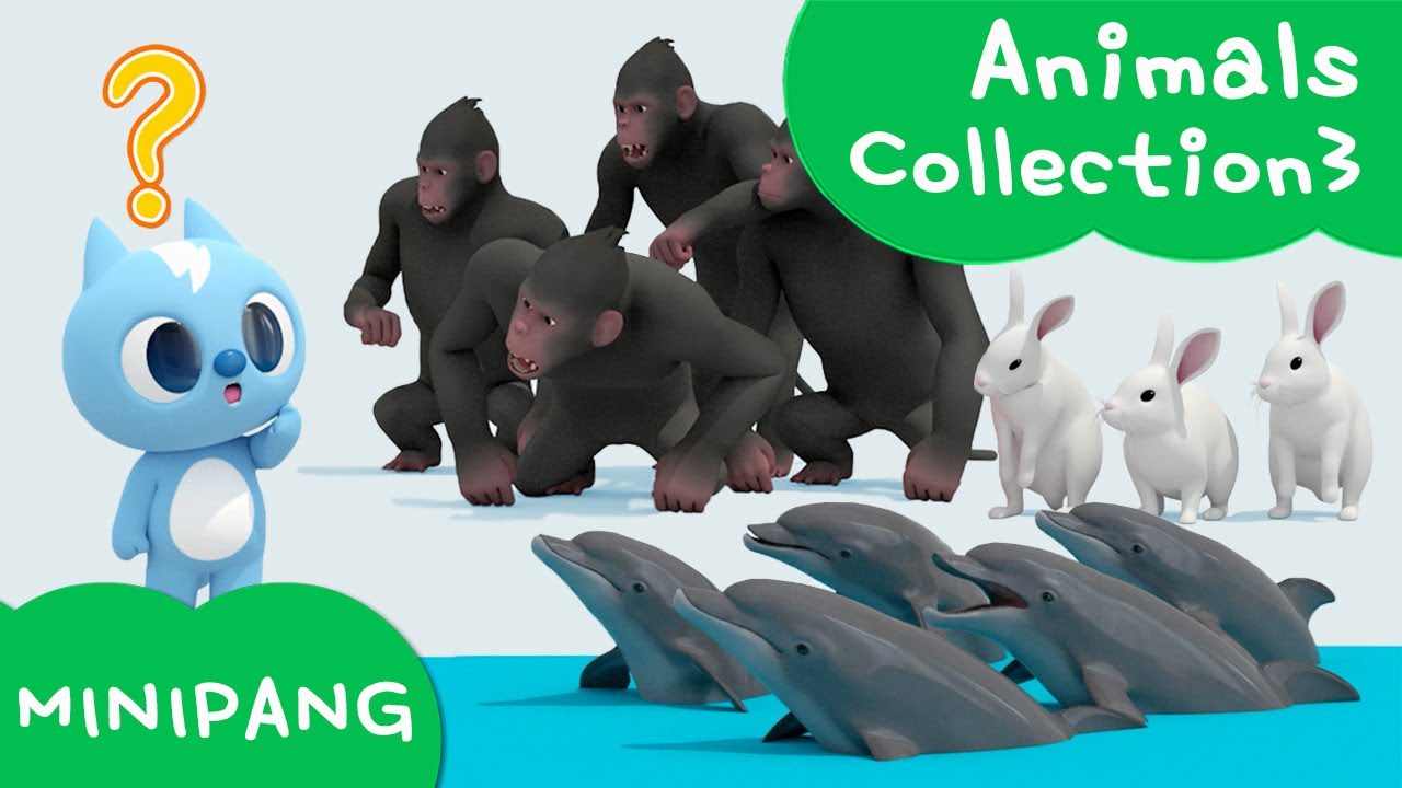 Learn words with MINIPANG | Animals Collection3 | MINIPANG TV 3D Play ...