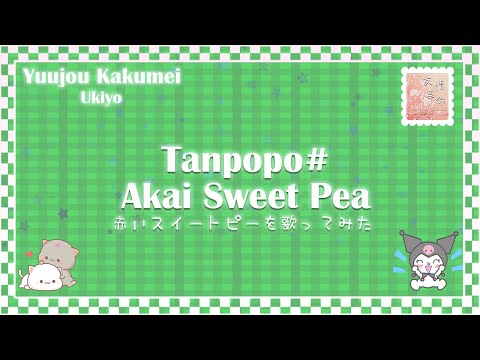 《海外4人で歌ってみた》「赤いスイートピー」- Akai Sweet Pea 【Ukiyo】
