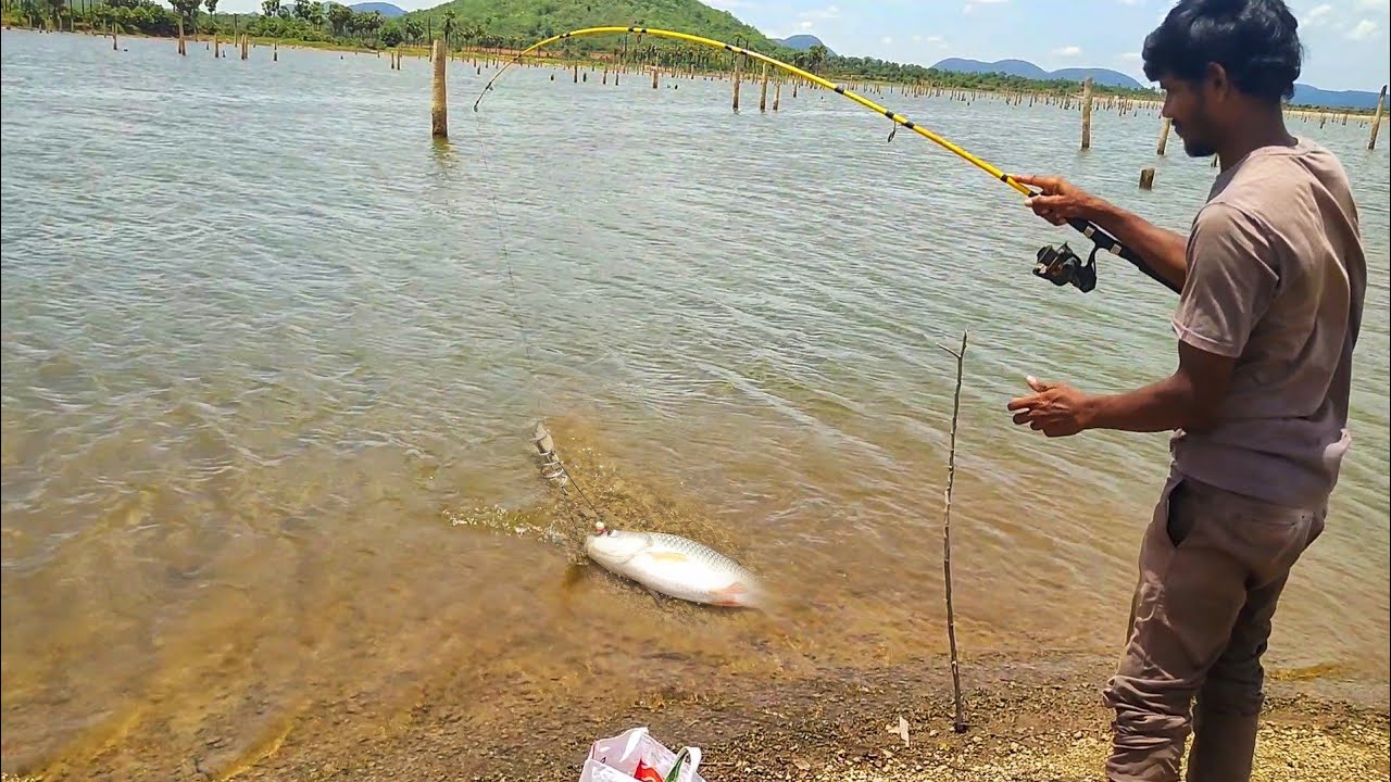 Fishing||Unique fishing videos||Amazing fish hunting||Pop-up fishing ...