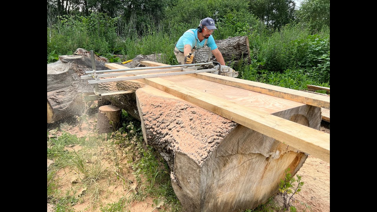 Cutting massive ash log 250x130 cm in to 10 cm thick slabs with Stihl ...