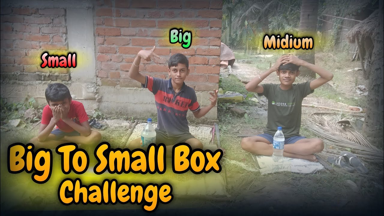 😱 Who Can Survive the Smallest Box?! | Big to Small Challenge - YouTube